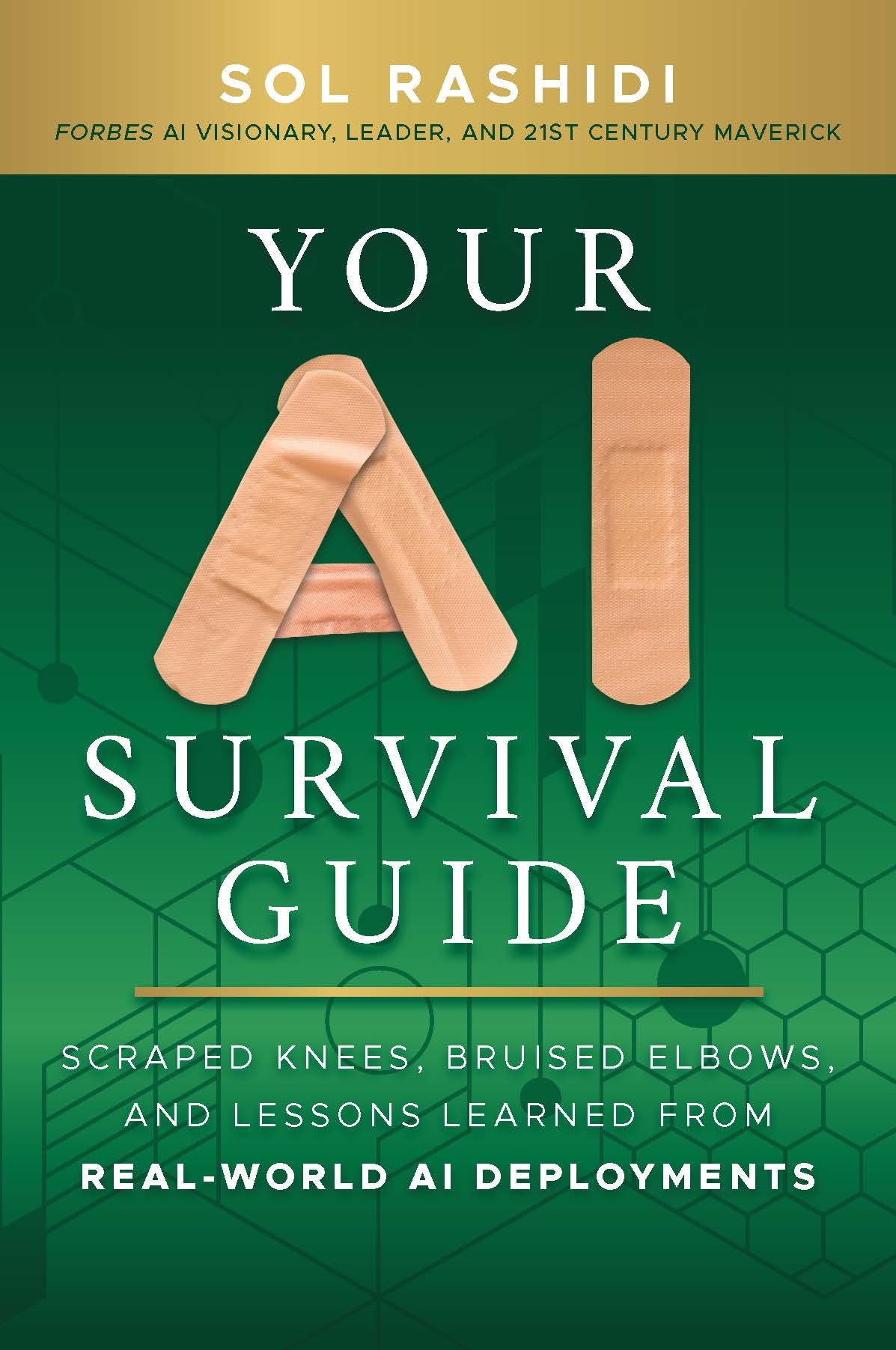 Navigating Realities: Insights on AI Deployments from Author Sol ...