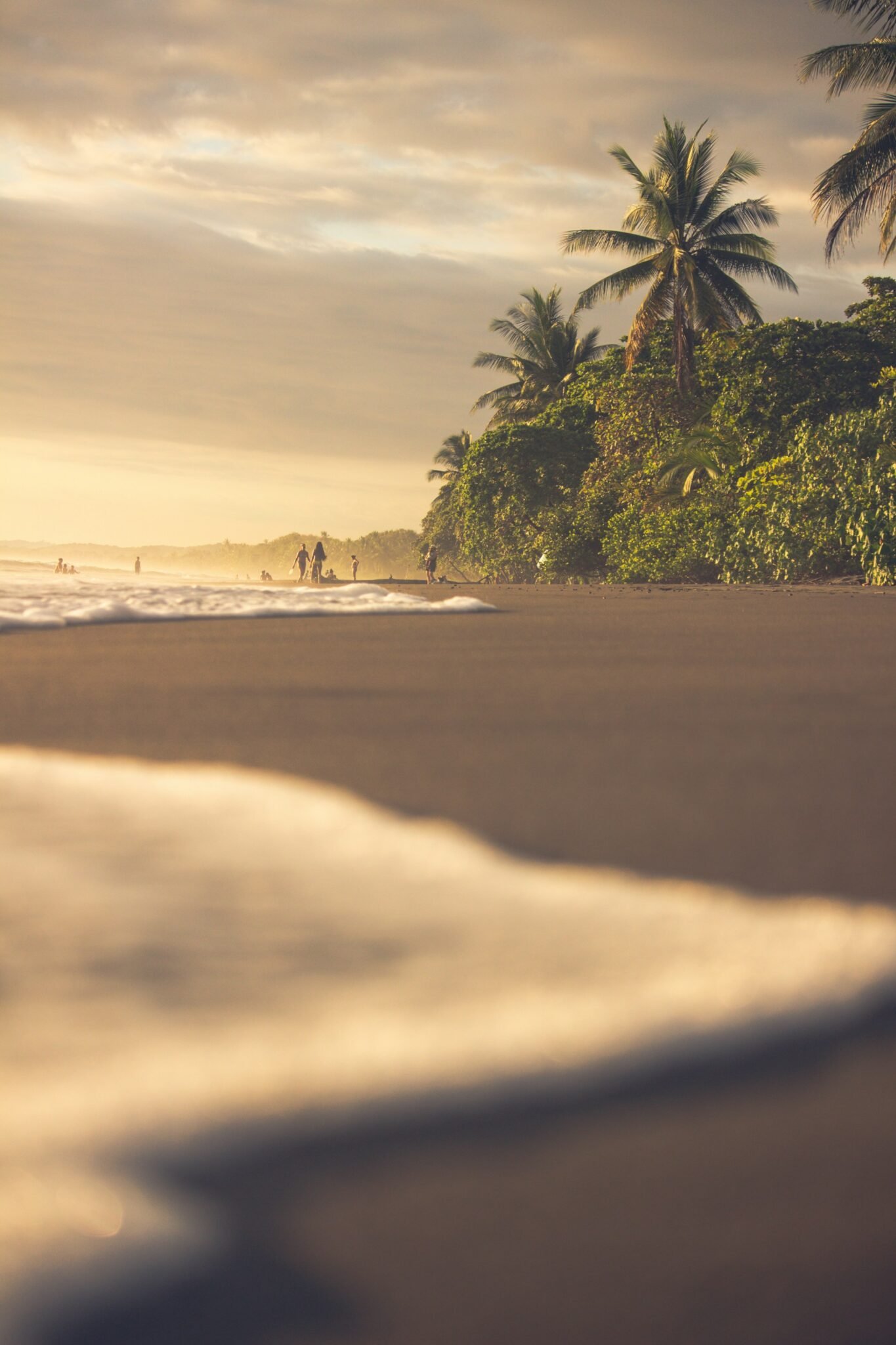 Best Time to Visit Costa Rica (2026)- Month-by-Month Weather, Costs ...